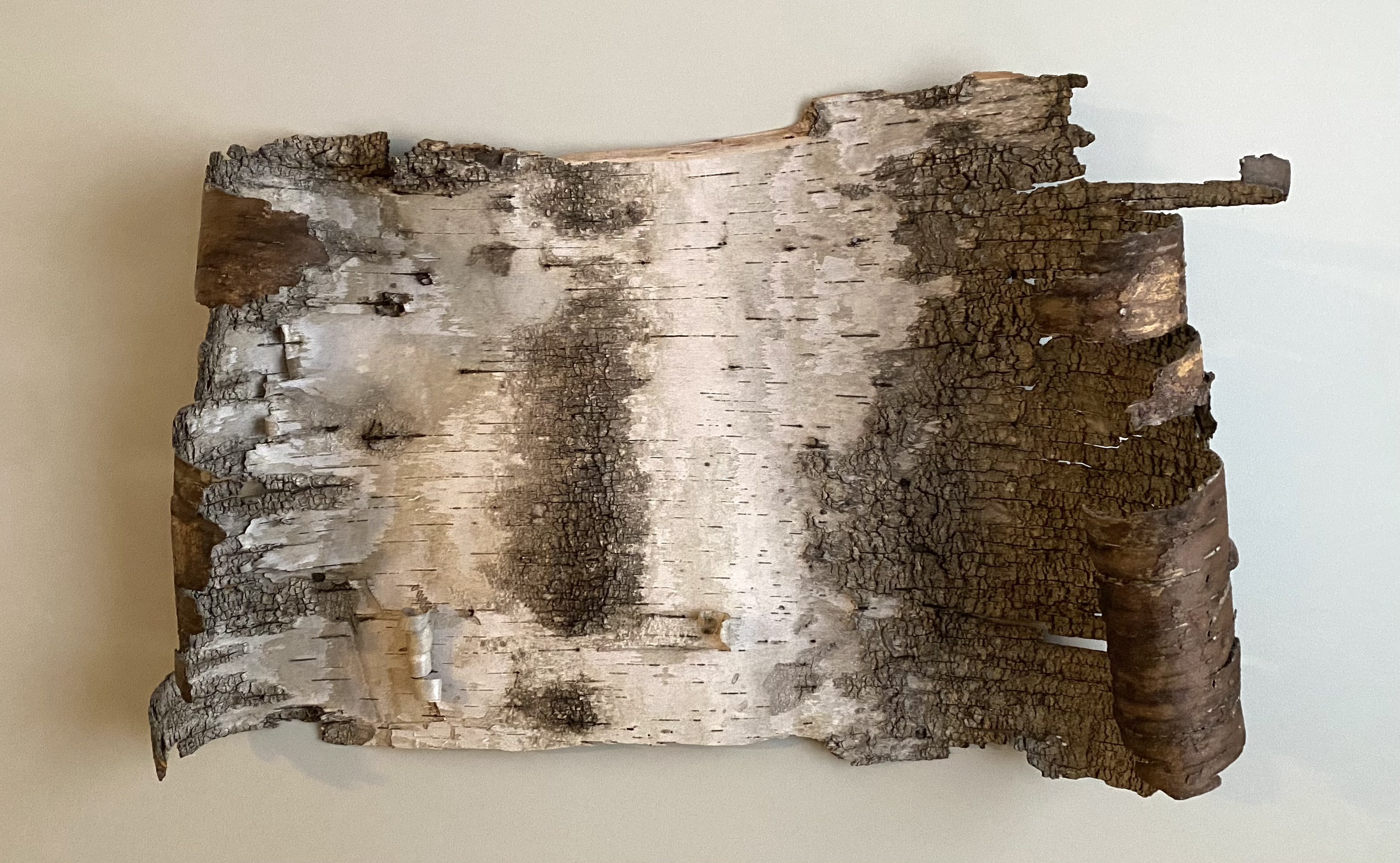 Posture Shaping Through Daily Living Boston Posture Center