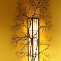 Testimonials Boston Posture Center